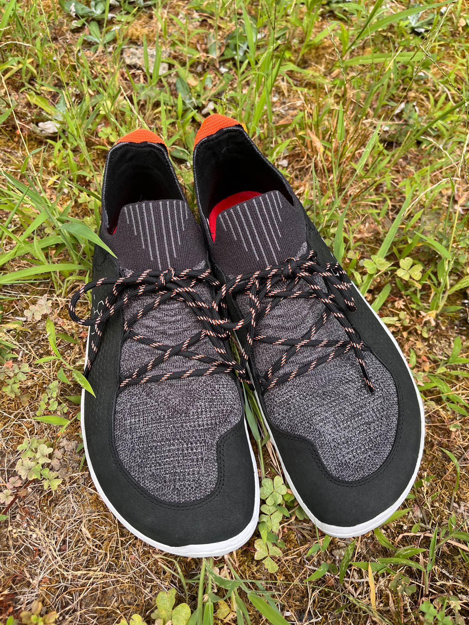 【vivobarefootレビュー】DECON LOW FG2を1年使用した感想とサイズ選び