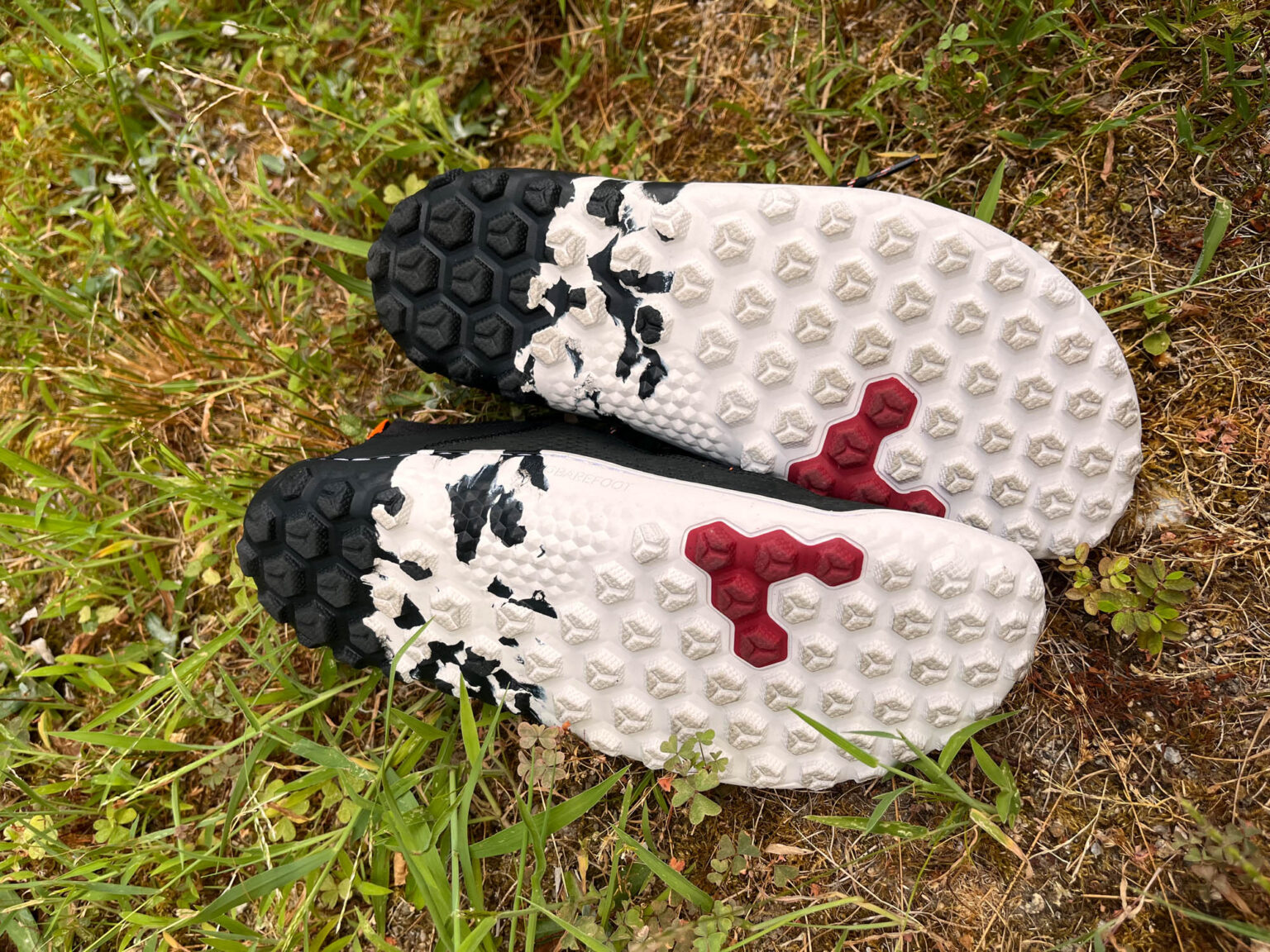 【vivobarefootレビュー】DECON LOW FG2を1年使用した感想とサイズ選び