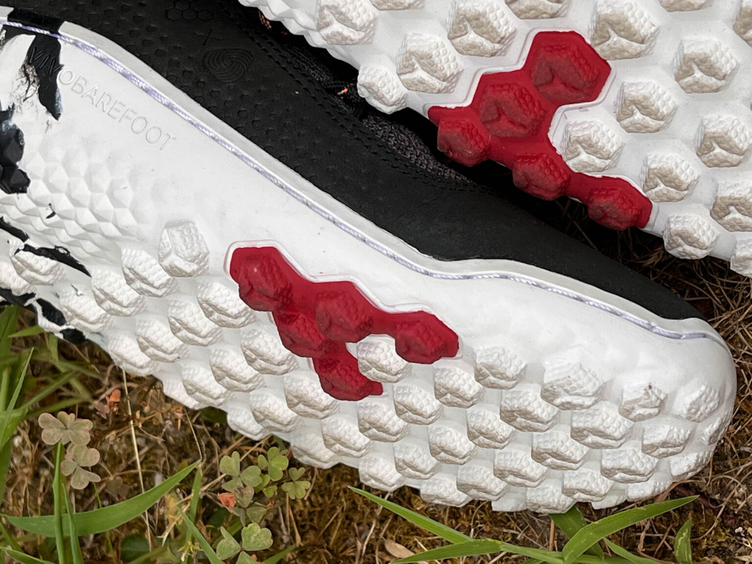 【vivobarefootレビュー】DECON LOW FG2を1年使用した感想とサイズ選び